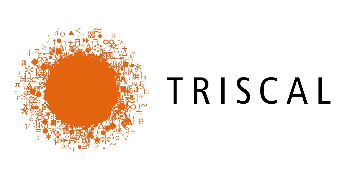Triscal - Mais do que uma consultoria, seu braço direito em TI.